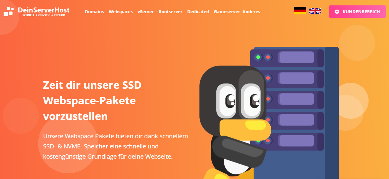DeinServerHost - Webspace SSD mieten